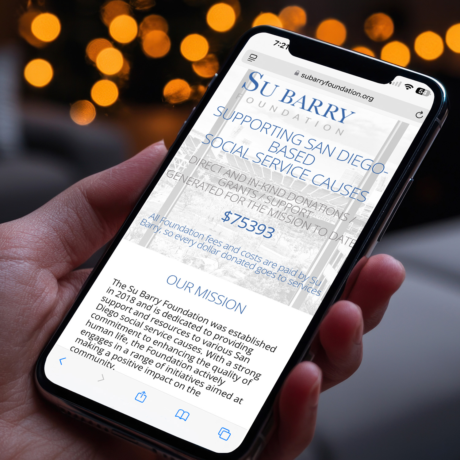 Su Barry Foundation - Website Redesign - The X Concept